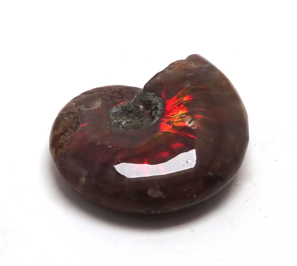 Red Iridescent Ammonite
