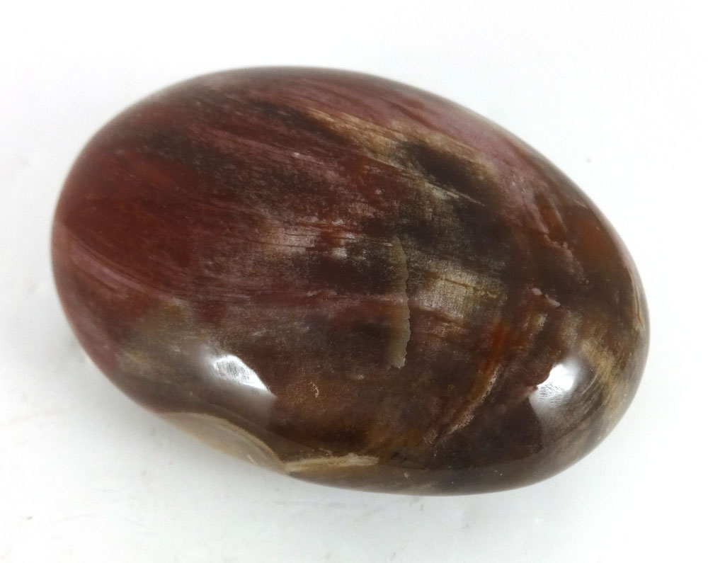 Fossilised Wood Pebble.