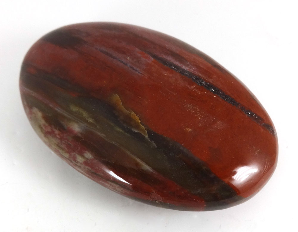 Fossilised Wood Pebble.