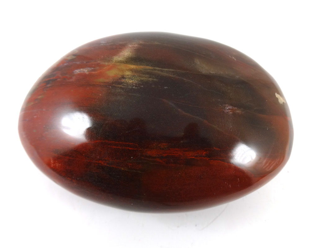 Fossilised Wood Pebble.